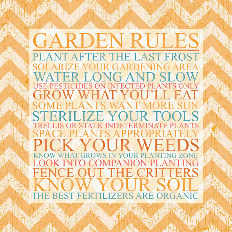 Trinx Orange Garden Rules - Wrapped Canvas Textual Art | Wayfair